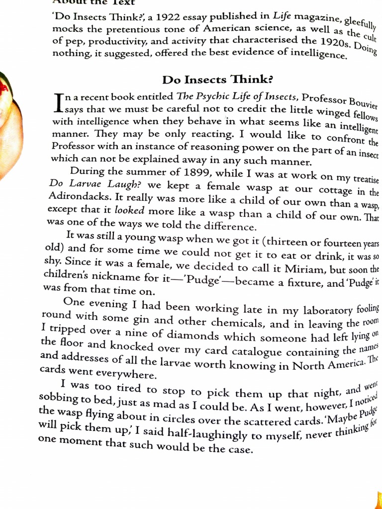 Do Insects Think | PDF