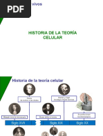 Linea de Tiempo: Teoría Celular | PDF | Biología Celular) | Anatomía ...