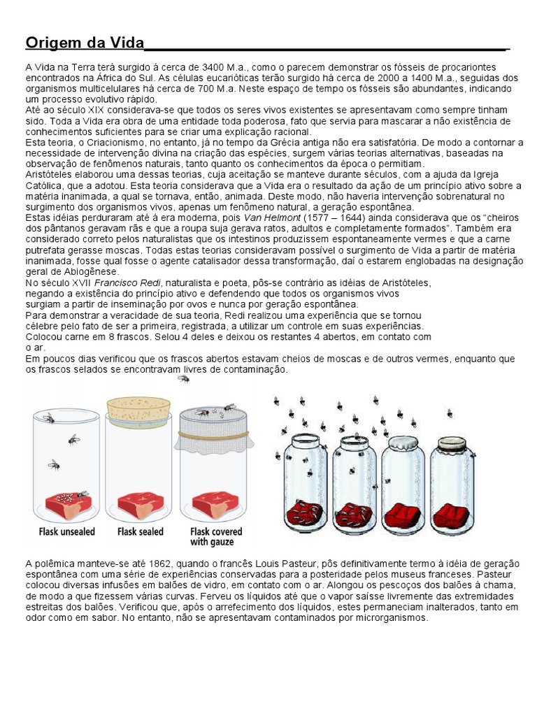 Origem Da Vida (Completo) | PDF | Vida | Abiogênese