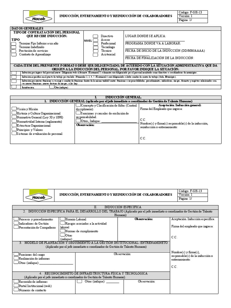 Formato Haced | PDF | Razonamiento inductivo