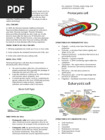 Mind Map | PDF | Cell (Biology) | Cell Membrane