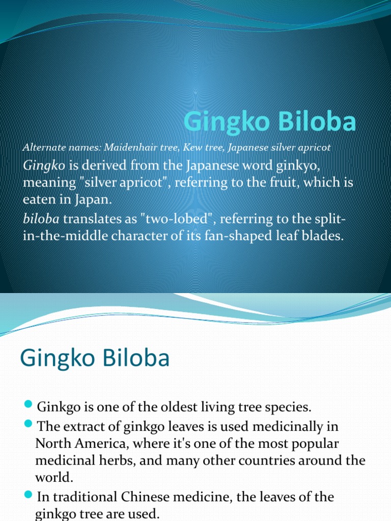 Gingko Biloba: Gingko Is Derived From The Japanese Word Ginkyo | PDF ...