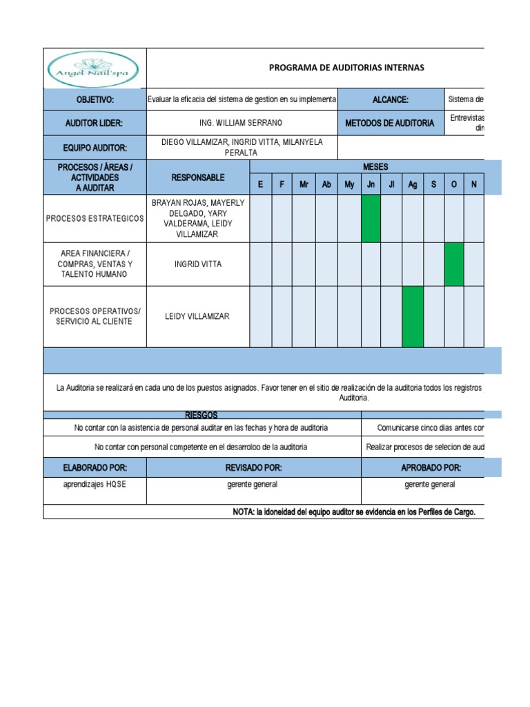 Programa de Auditorias Internas | PDF | Auditoría | Business