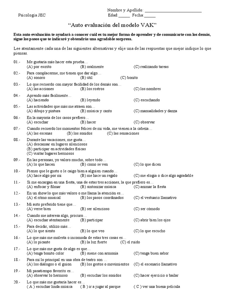 Autoevaluación del Modelo VAK | PDF