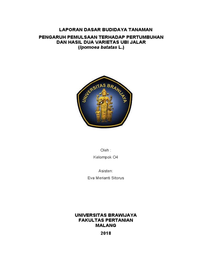 Laporan DBT FIXX (UBI JALAR) | PDF