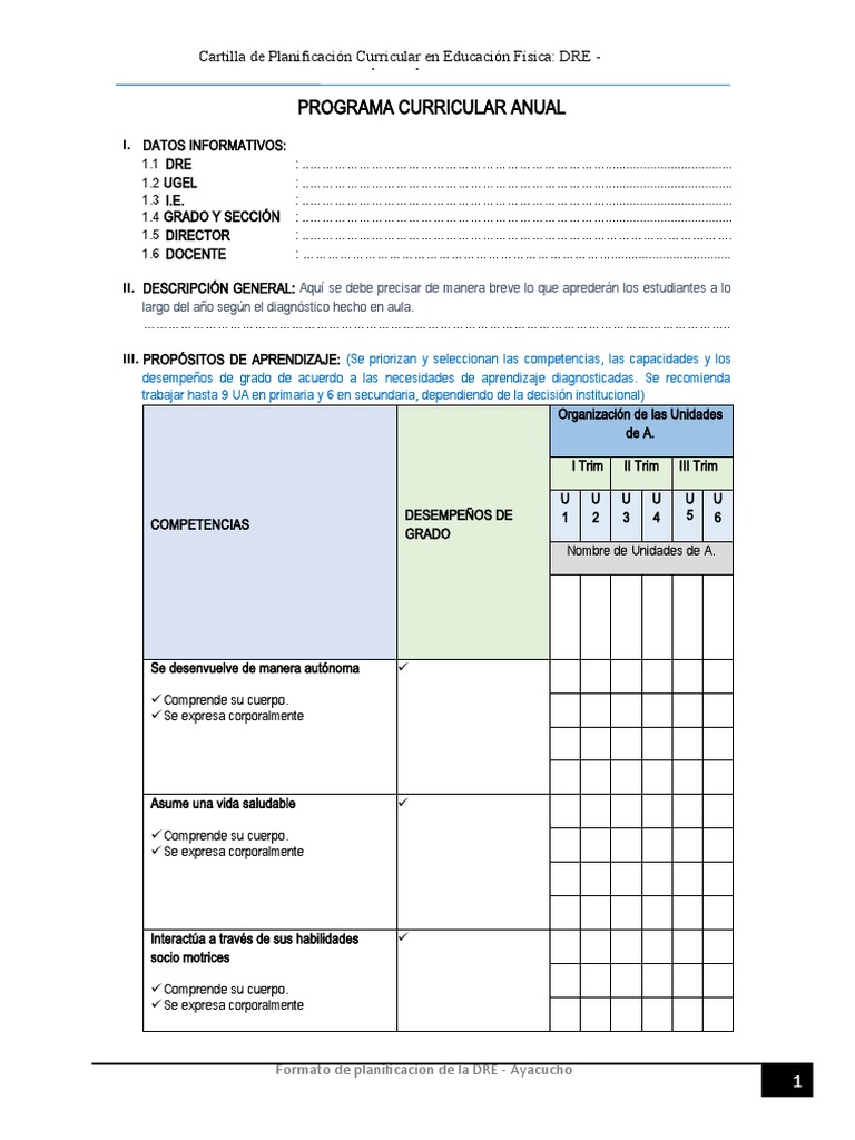 Esquemas de Planificación Curricular 2020 | PDF | Evaluación | Aprendizaje