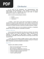 Citrobacter freundii: Características y Aislamiento | PDF | Las ...