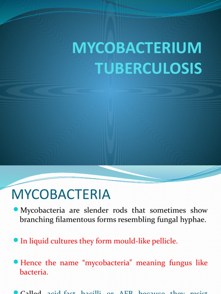 Mycobacterium Tuberculosis | PDF | Tuberculosis | Mycobacterium