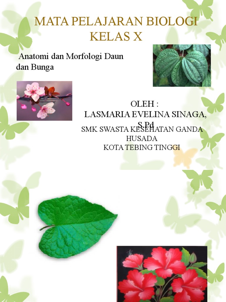 MORFOLOGI - DAUN Dan Bunga | PDF | Sains & Matematika