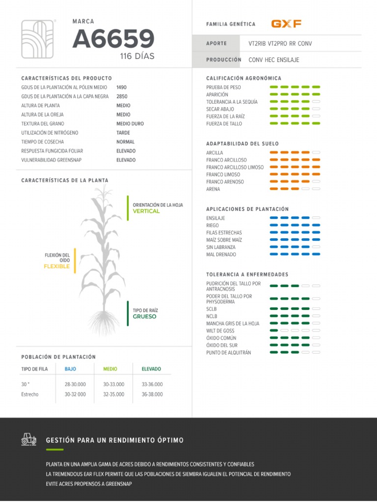 Agrigold A6659 | PDF