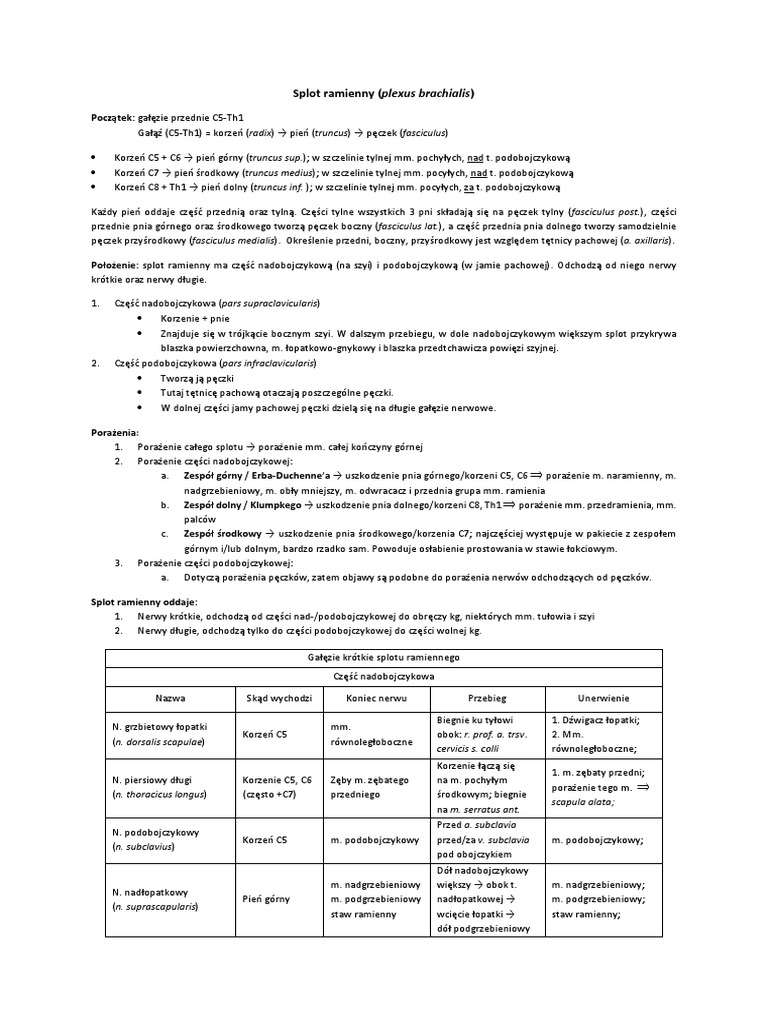 Splot Ramienny - Skrypt | PDF