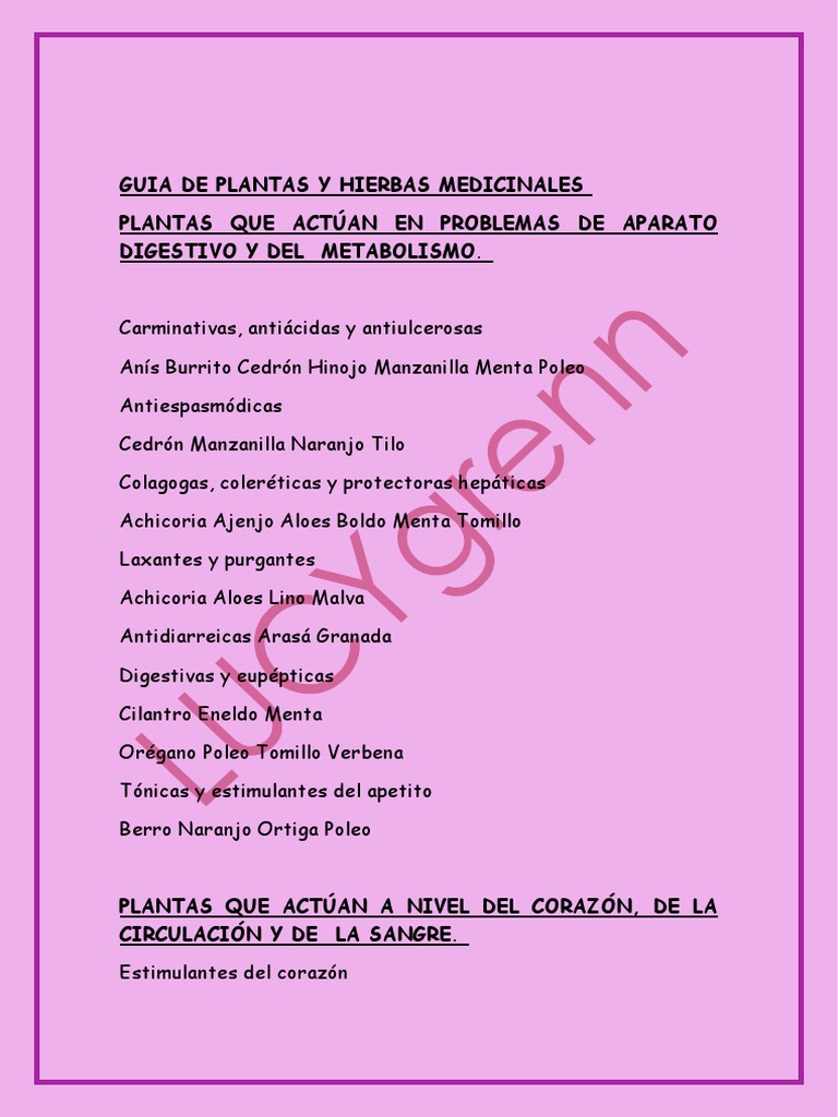 Guia De Plantas Y Hierbas Medicinales Pdf Té Agua