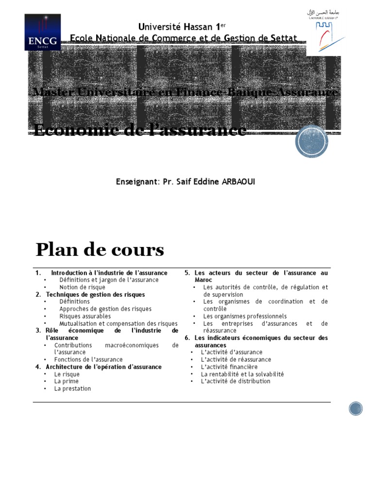 Présentation Économie de L'assurance | PDF | Assurance | Risque