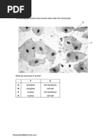 Calculation-Magnification-Qs Pack-Gcse | PDF | Micrograph | Cell (Biology)
