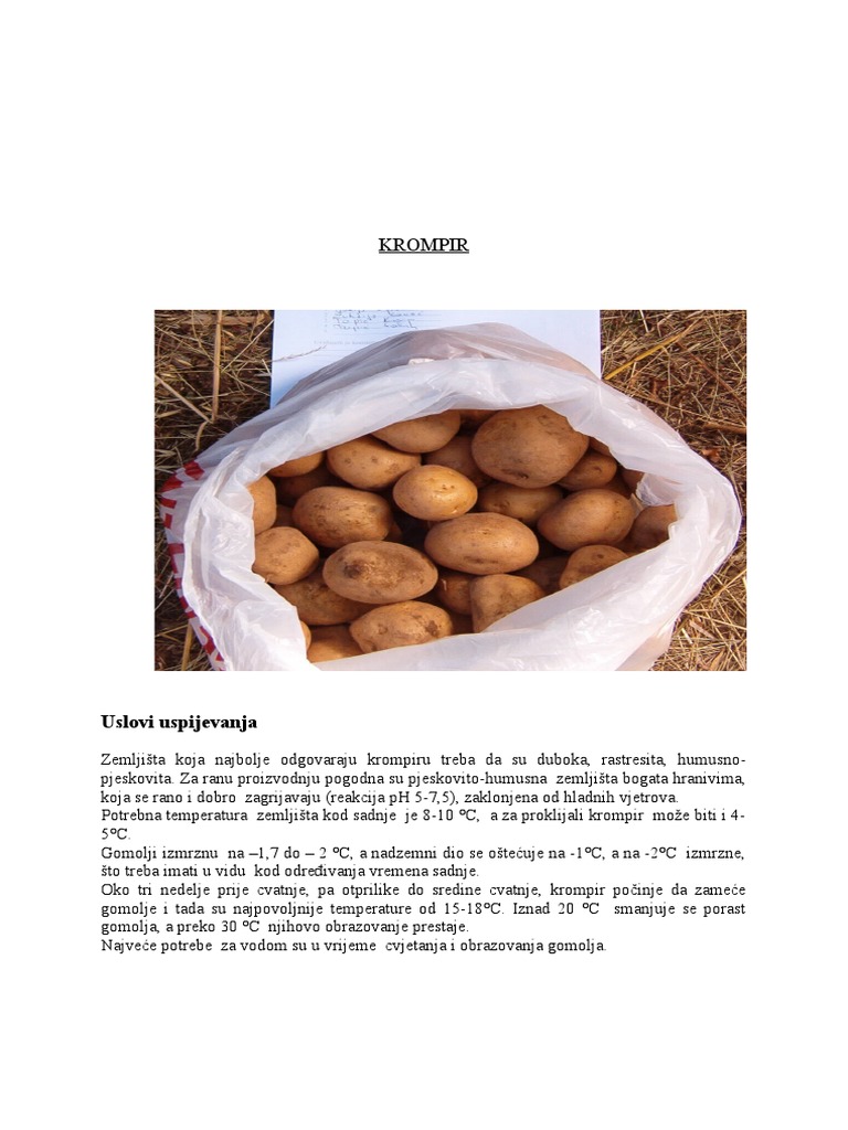 Uzgoj Povrca Na Otvorenom Krompir Paradajz Luk | PDF