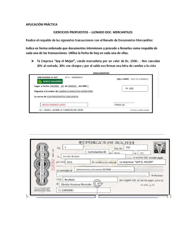 Aplicacion Practica Neysa Peredo Lopez | PDF