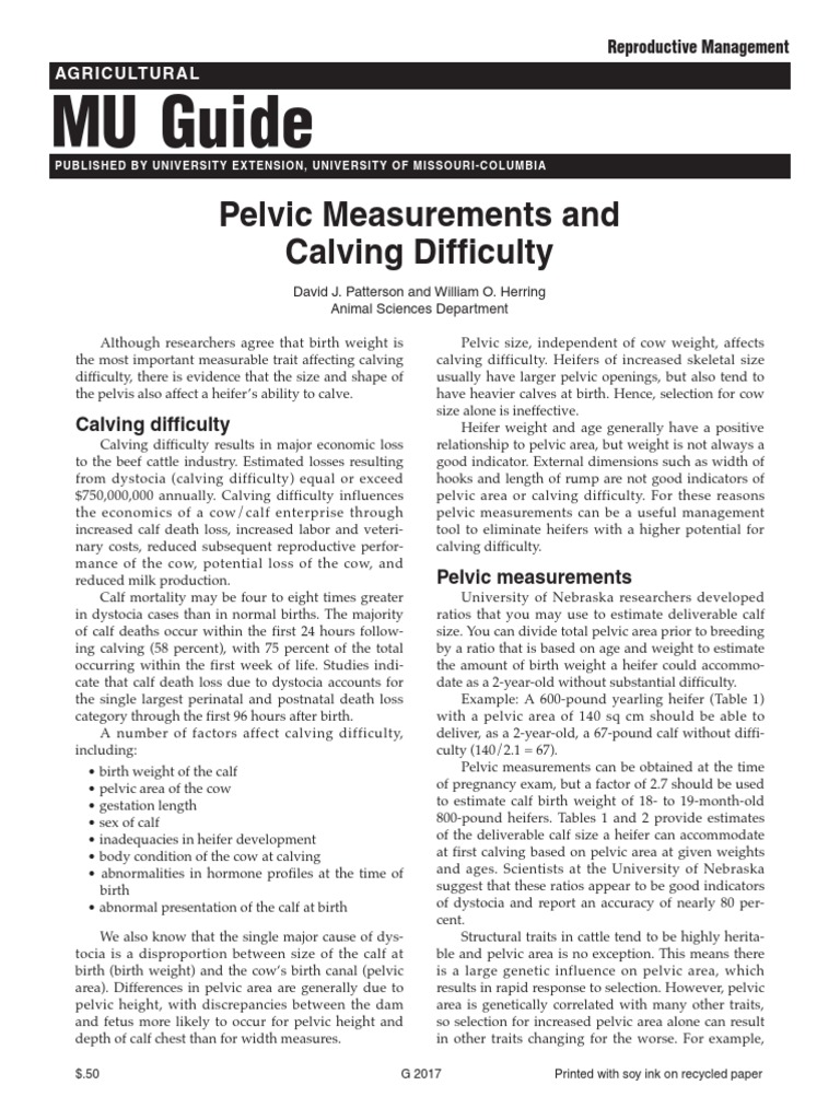 MU Guide: Pelvic Measurements and Calving Difficulty | PDF | Cattle | Calf