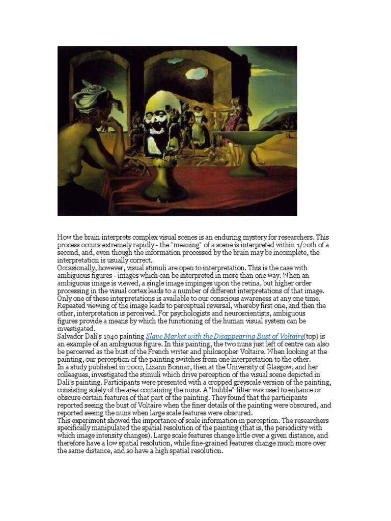 Understanding Ambiguous Visual Perception | PDF | Philosophy | Science ...
