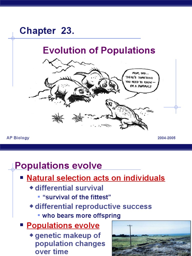 Evolution of Populations: AP Biology | PDF | Genetic Diversity | Evolution