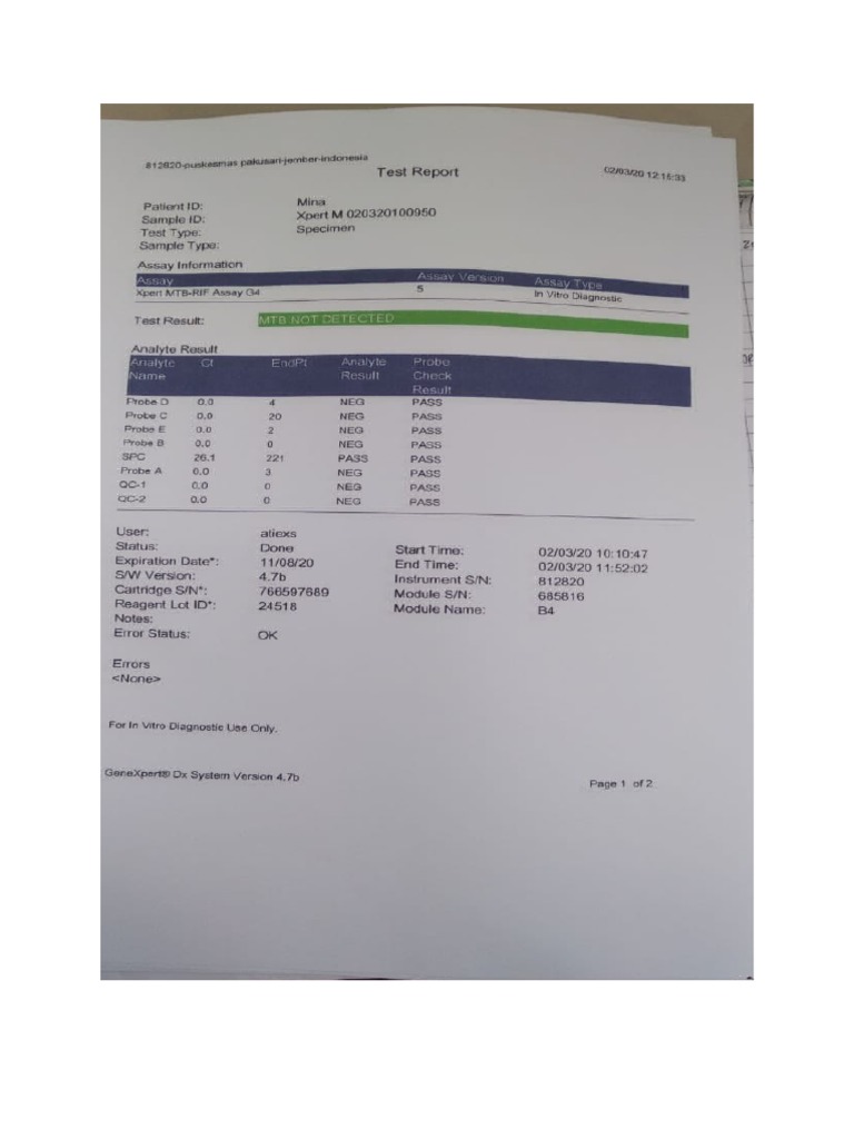 Hasil TCM 2020 | PDF