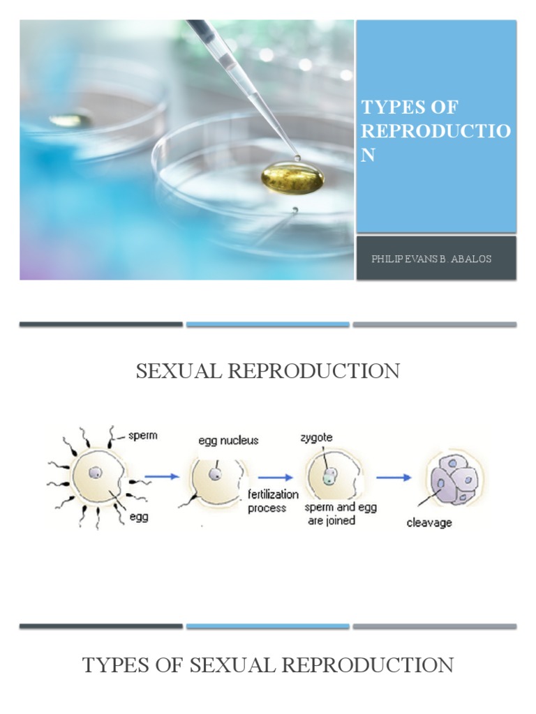 Types of Reproduction | PDF