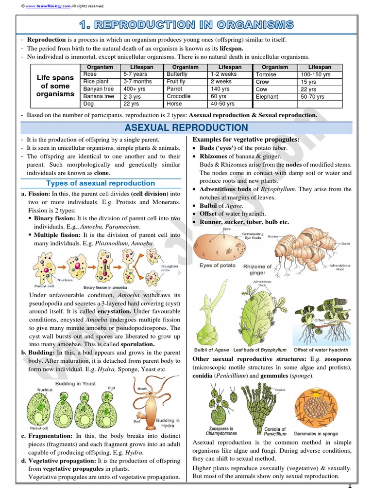 1 Reproduction in Organisms-Sample Notes 2021 | PDF | Reproduction | Nature
