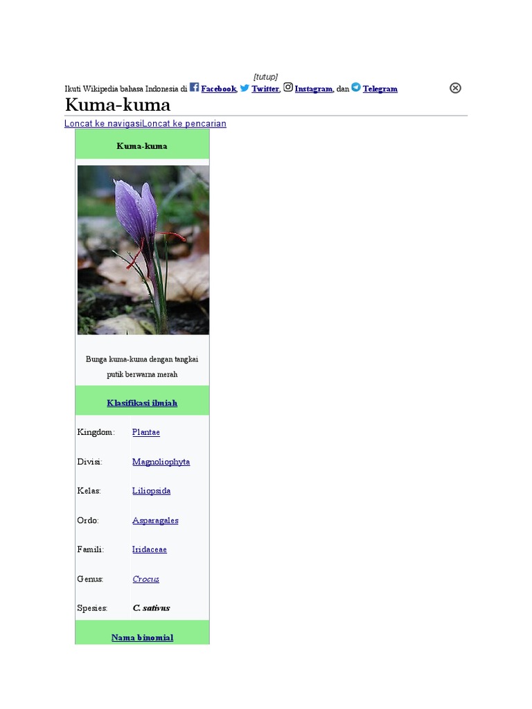 Saffron Wikipedia | PDF