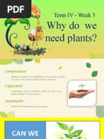 T3-W2-Worksheet 3 - The Vegetable Garden | PDF