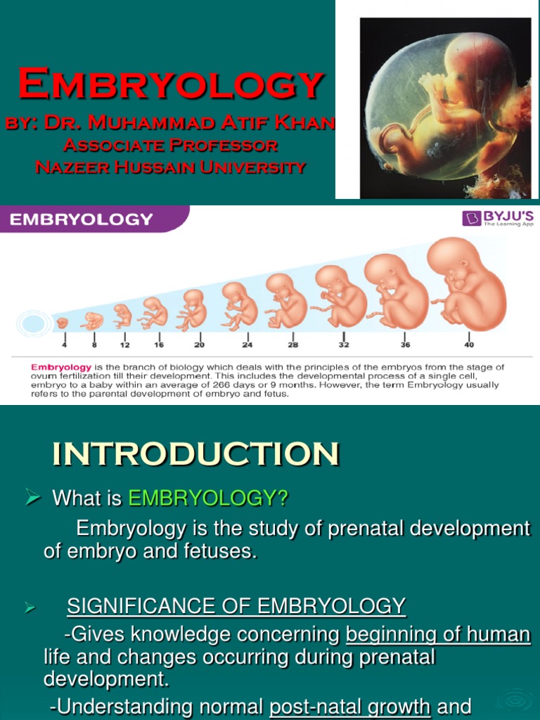 General Embryology | Download Free PDF | Implantation (Human Embryo ...