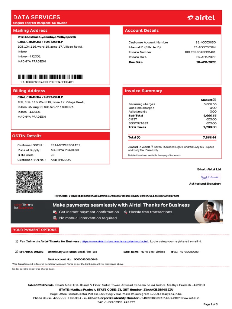 Data Services: Your Account Summary | PDF | Invoice | Service Industries