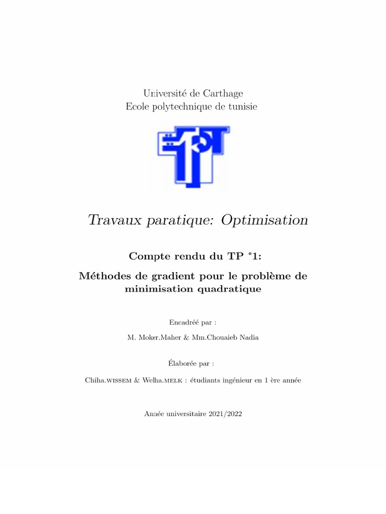 Compte Rendu TP Optimisation | PDF