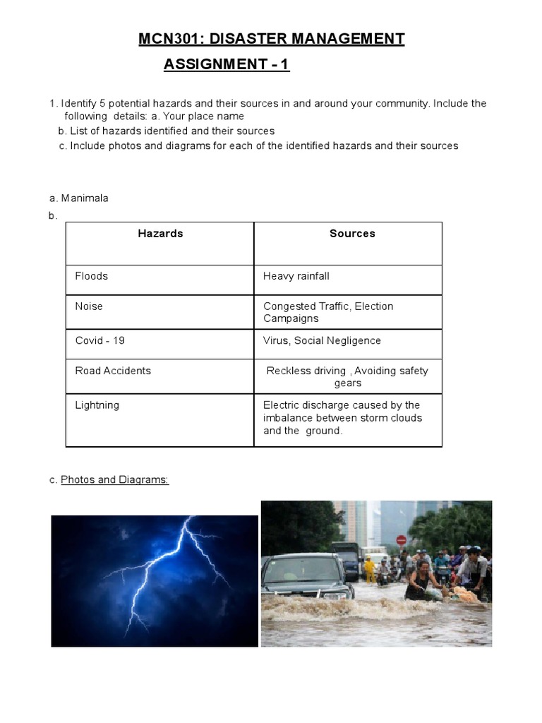 Disaster Management Assignment | PDF | Volcanic Ash | Volcano