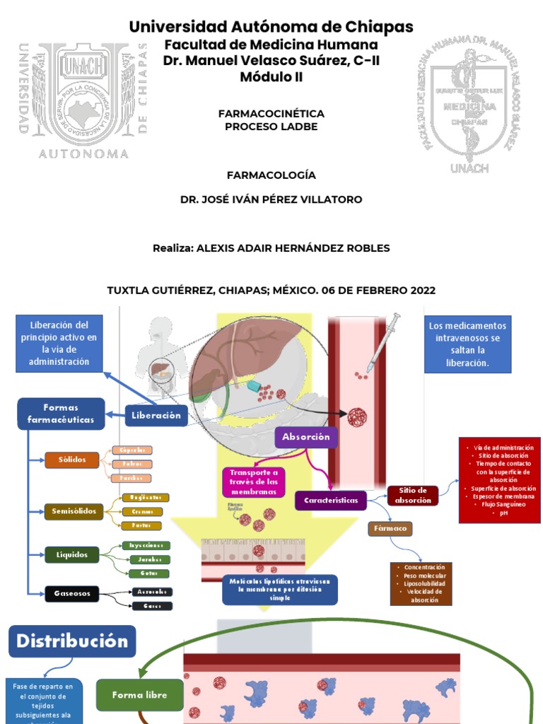 LADME | PDF | Medicamentos con receta | Química