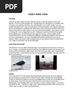 Hudhud: The Hoopoe Bird Explained | PDF | Birds | Ornithology