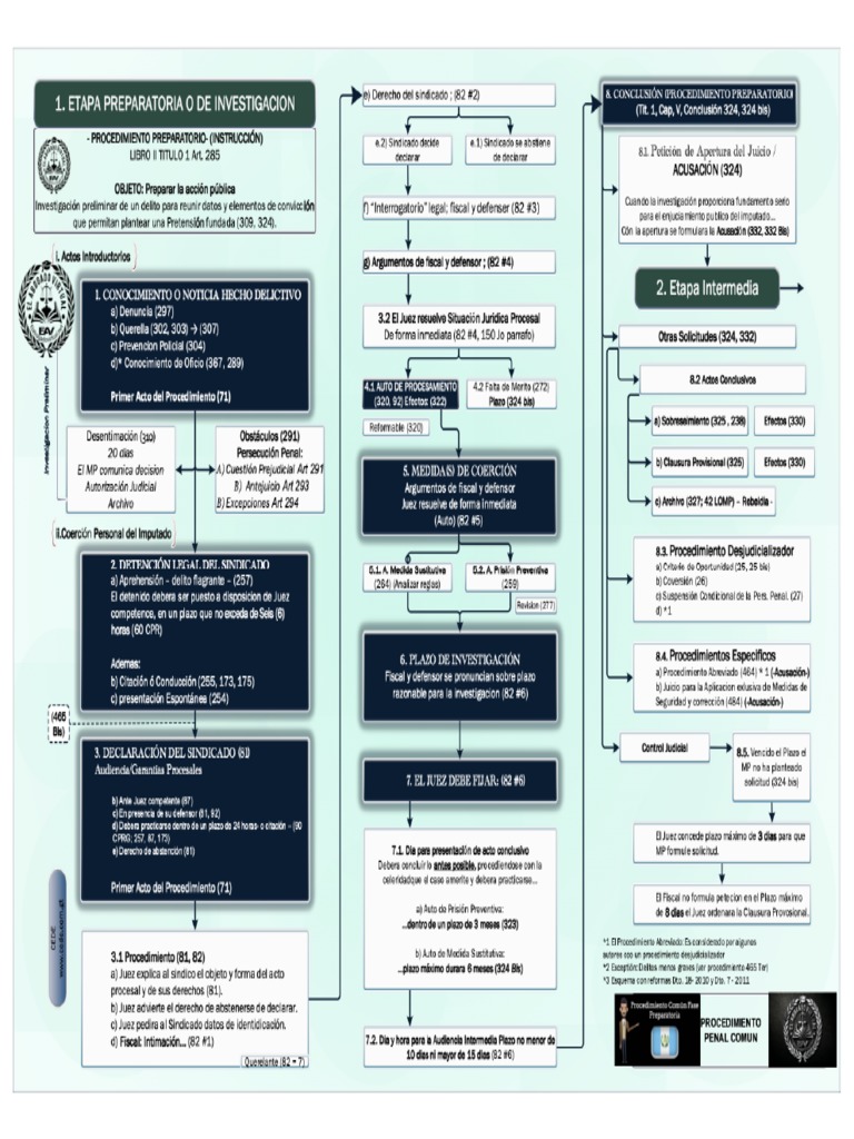 Etapa Preparatoria Esquema | PDF