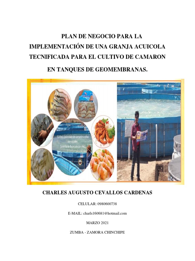 Plan De Negocios Para El Cultivo De Camarones