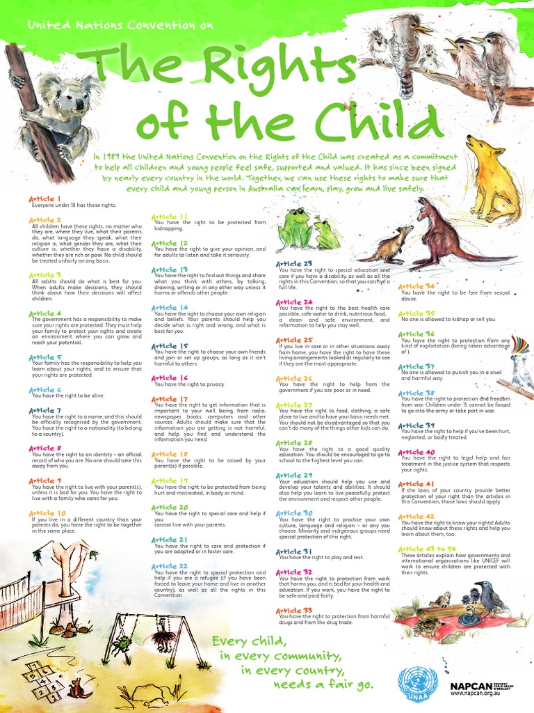 The Rights of The Child: United Nations Convention On | PDF | Children ...
