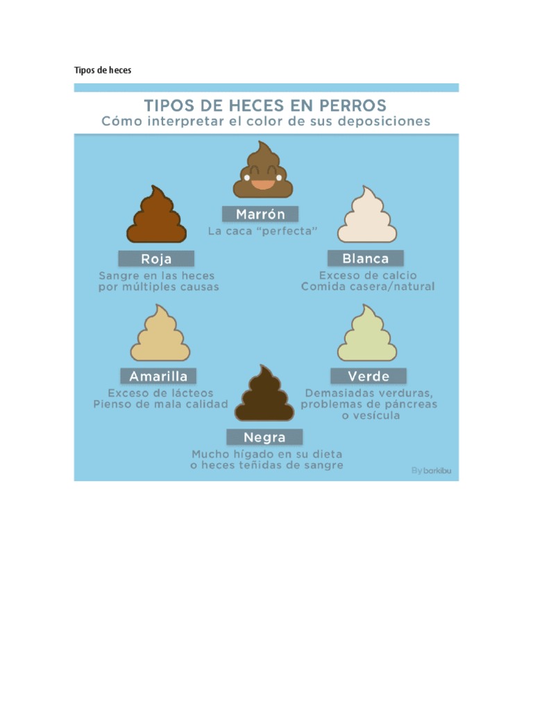 Tipos de Heces | PDF