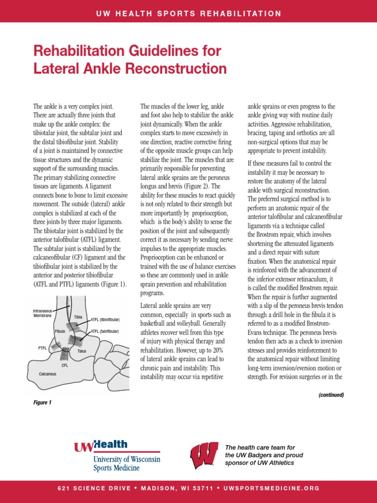 Lateral - Ankle Reconstruction Protocol | PDF | Ankle | Musculoskeletal ...