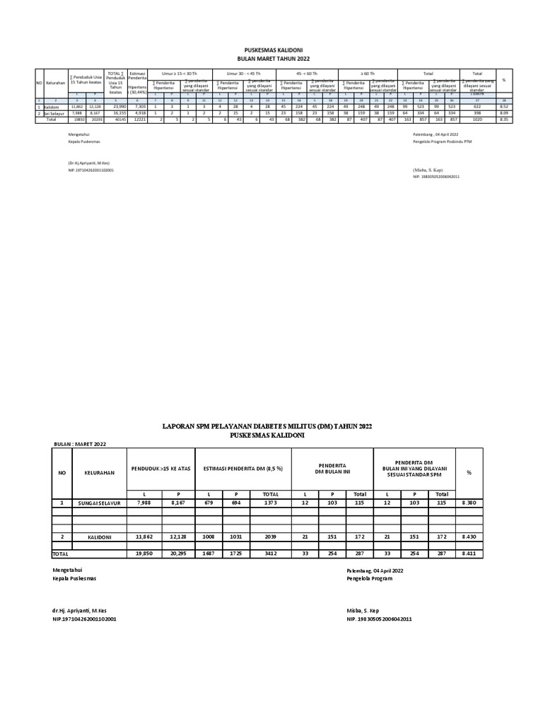 HT Dan DM PKM Kalidoni Ok | PDF