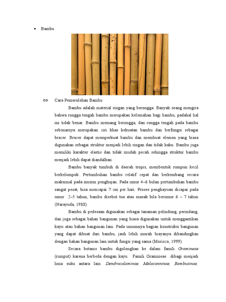 Keunggulan dan Penggunaan Bambu | PDF