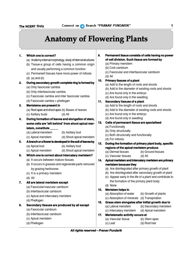 Plant Tissue Quiz: Structure & Function | PDF | Tissue (Biology ...