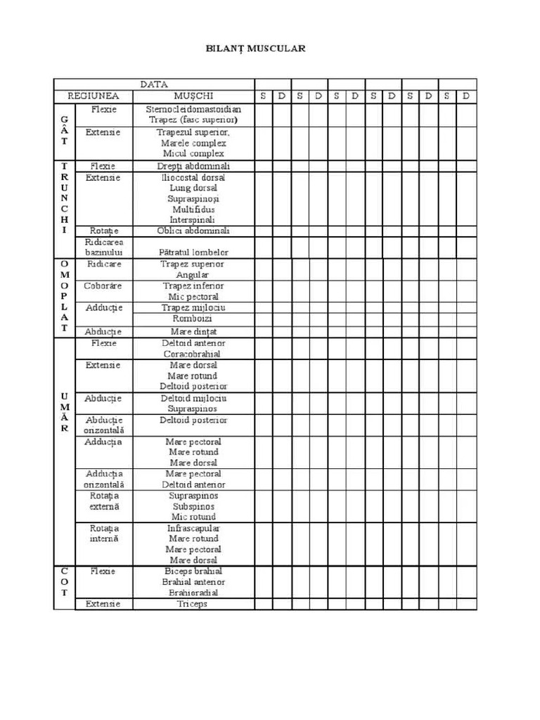 Bilant Muscular | PDF