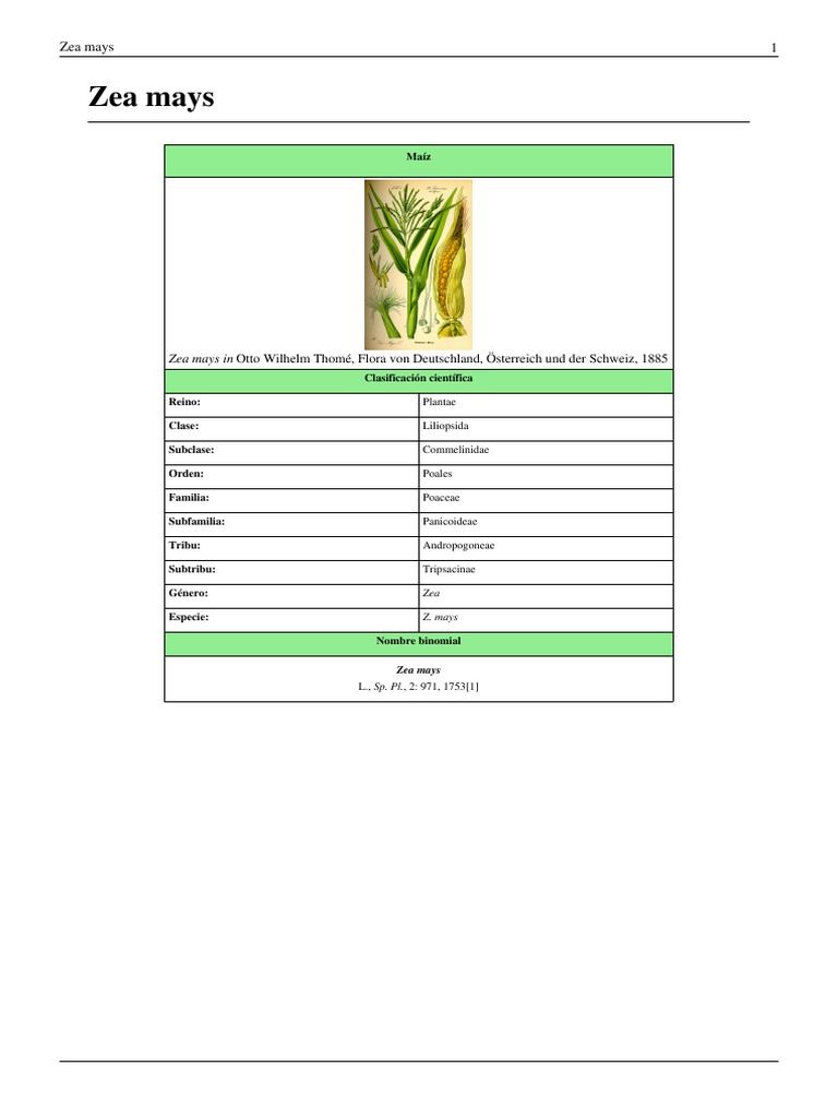 Zea Mays | PDF | Maíz