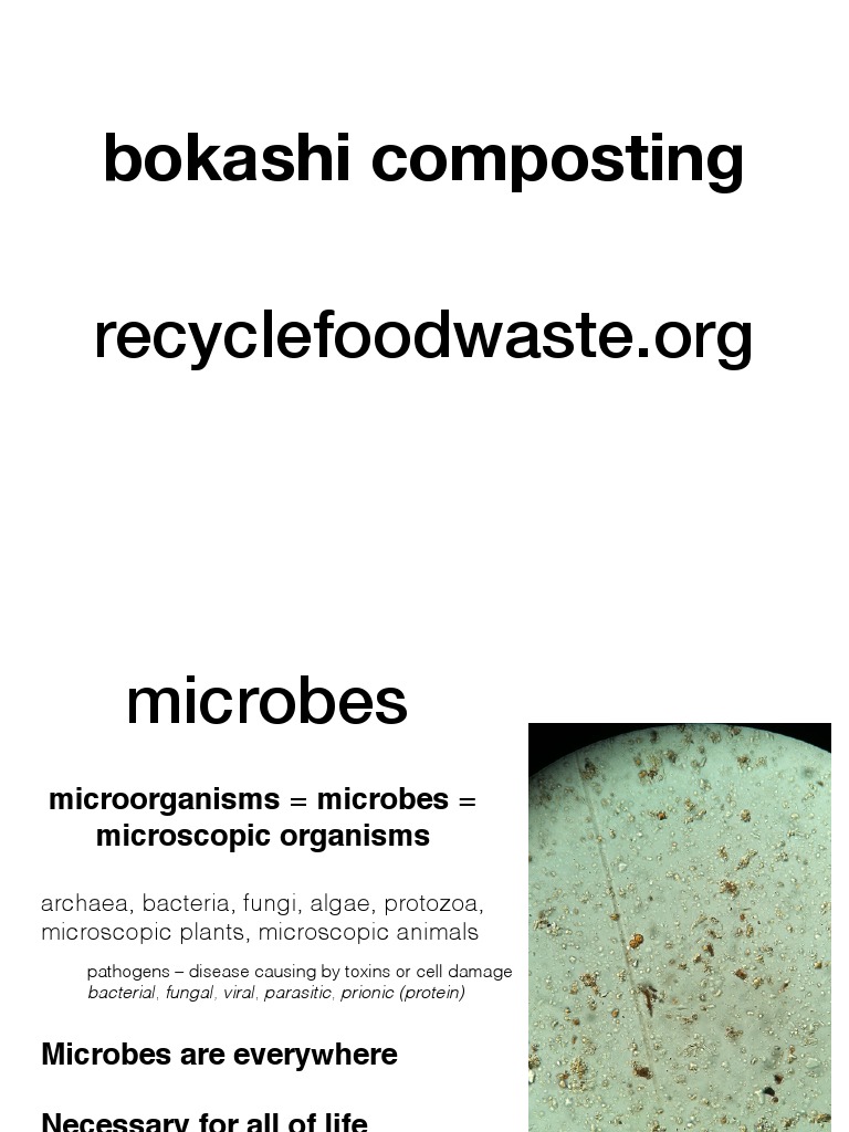 Bokashi Composting: A Guide to Fermentation | PDF | Microorganism ...