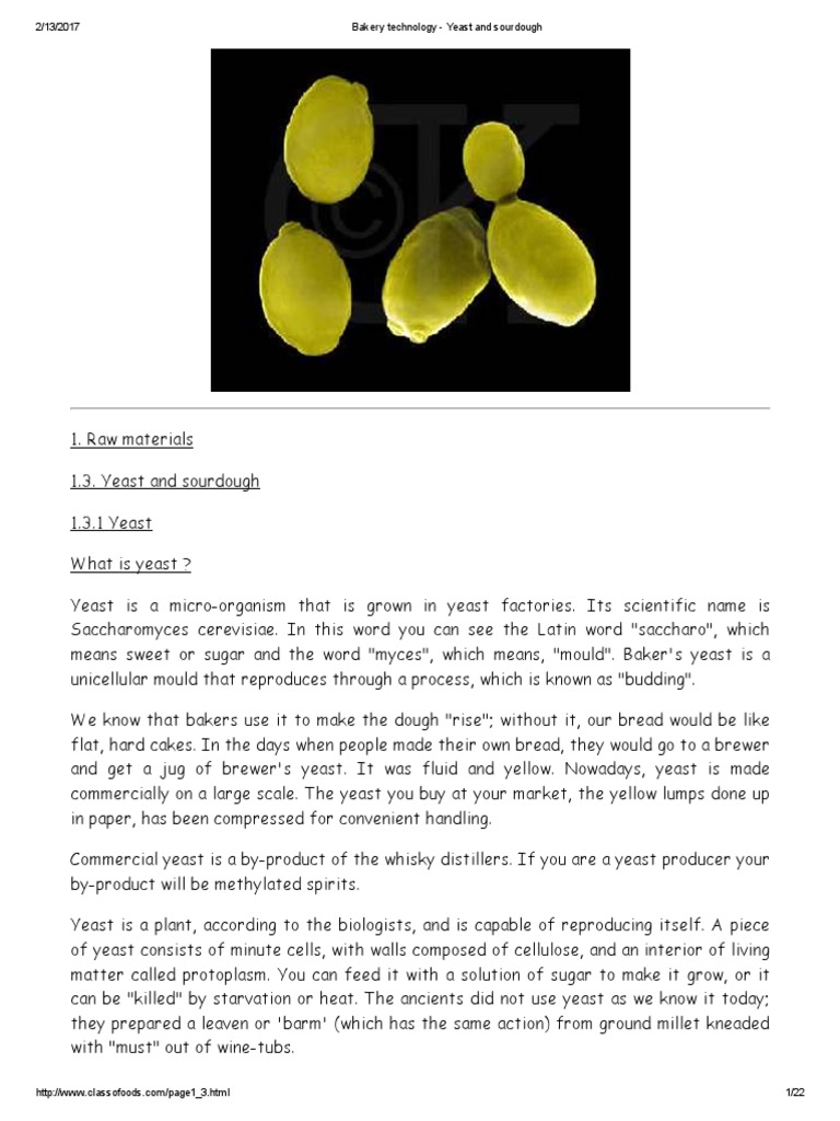 Bakery Technology - Yeast and Sourdough.3 PDF | PDF | Sourdough | Yeast