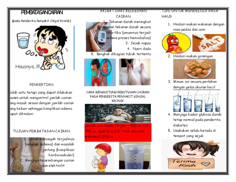 Ners Selpi Leaflet Pembatasan Cairan | PDF