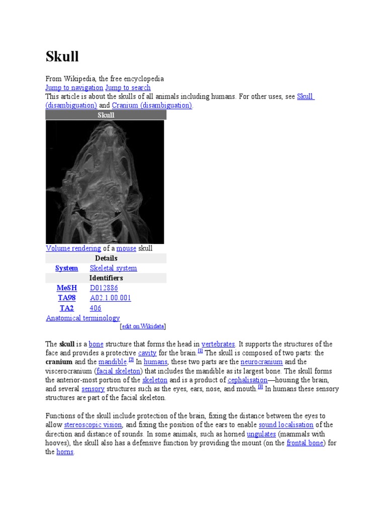 Skull | PDF | Skull | Anatomy