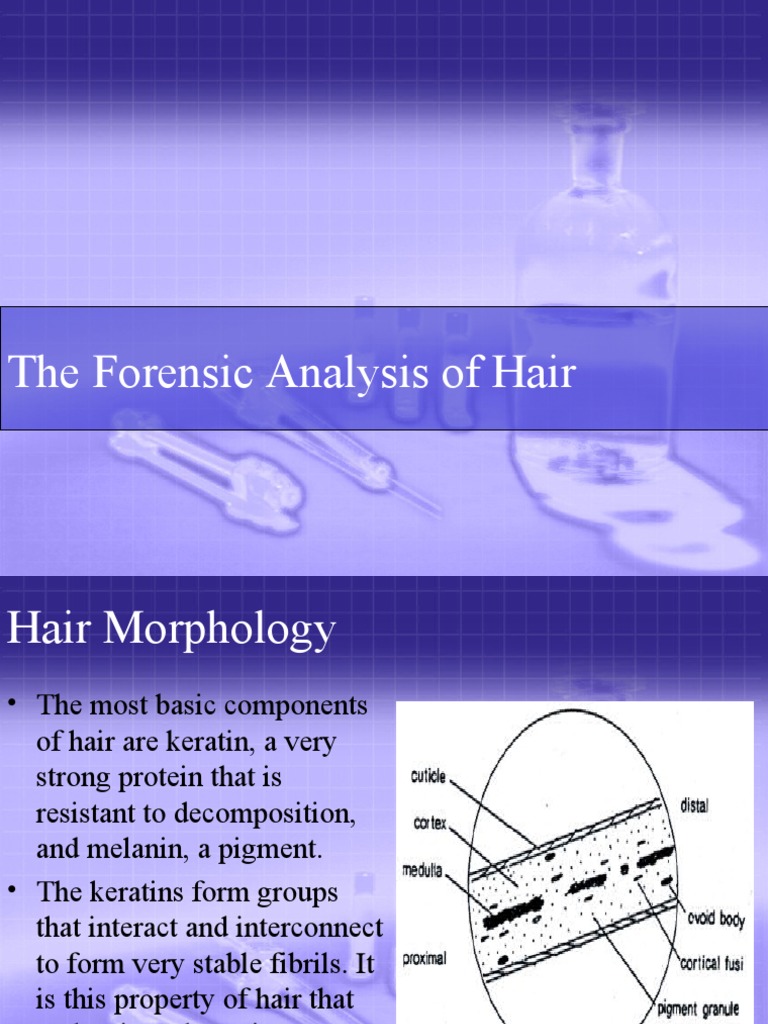 The Forensic Analysis of Hair | PDF | Hair | Cerebral Cortex