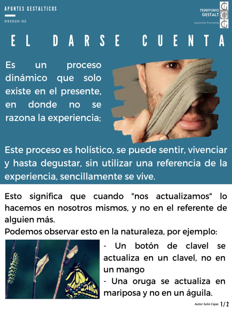 El Darse Cuenta | Descargar gratis PDF | Terapia Gestalt | Sicología